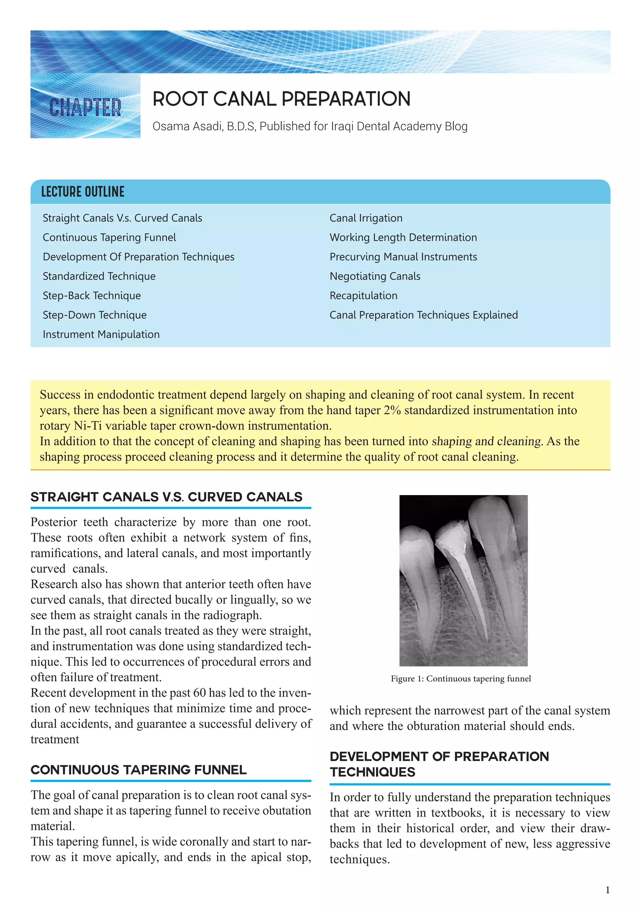 Root Canal Preparation Basics | PDF