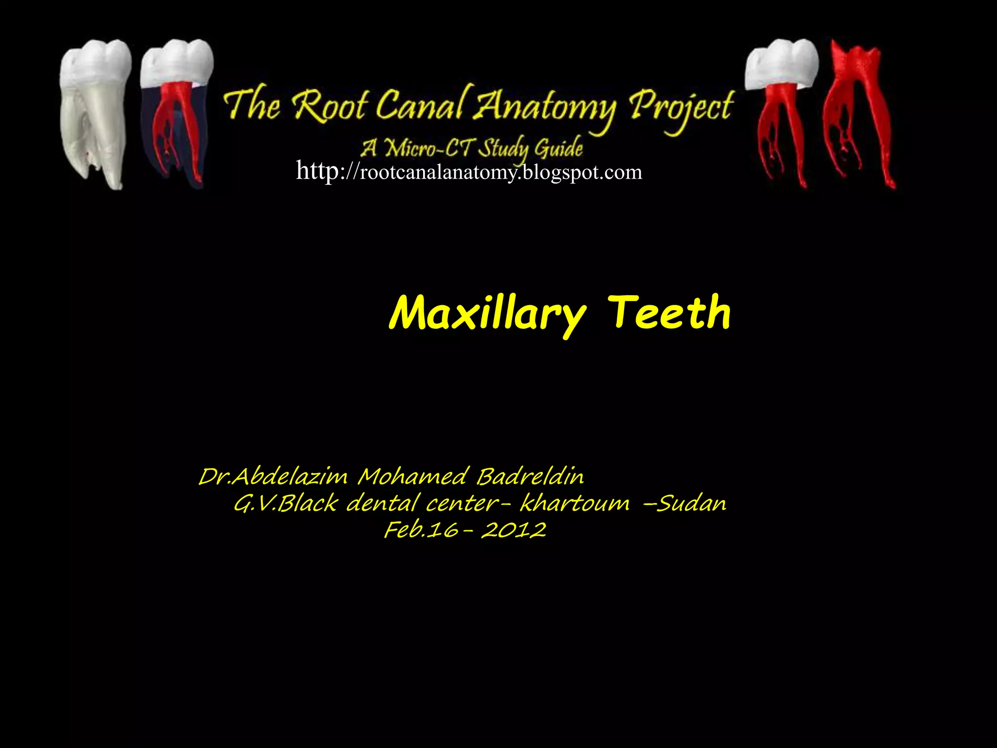 Root canals morphology and configurations - maxillary teeth | PPTX ...
