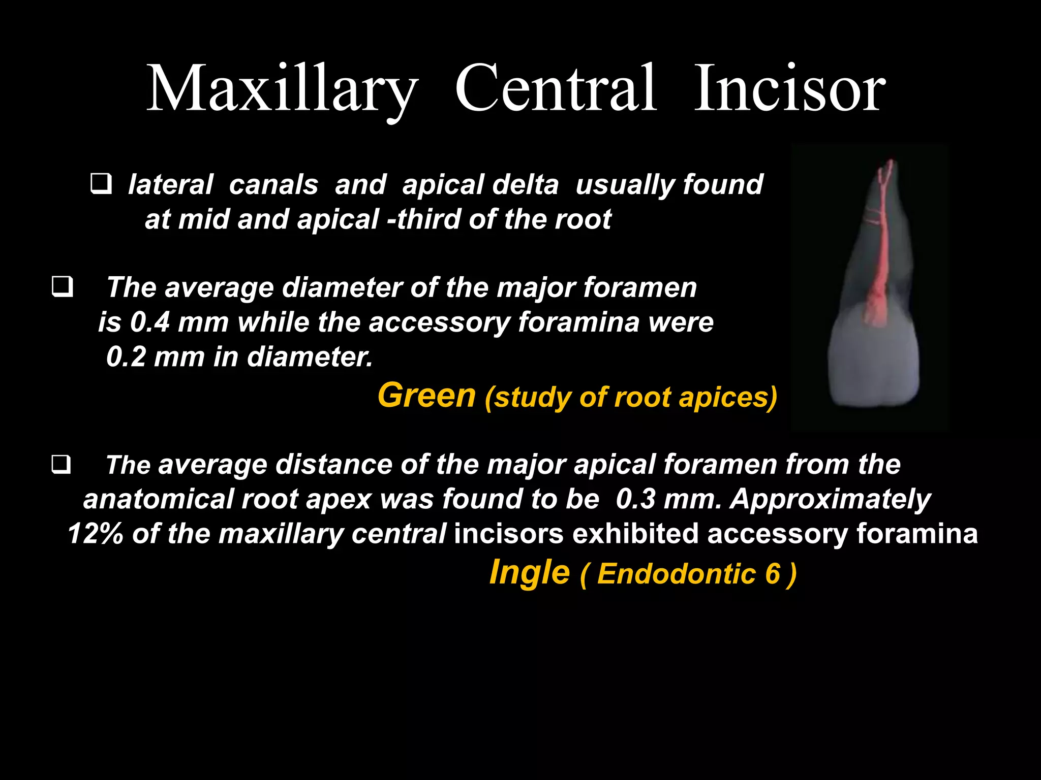 Root canals morphology and configurations - maxillary teeth | PPTX
