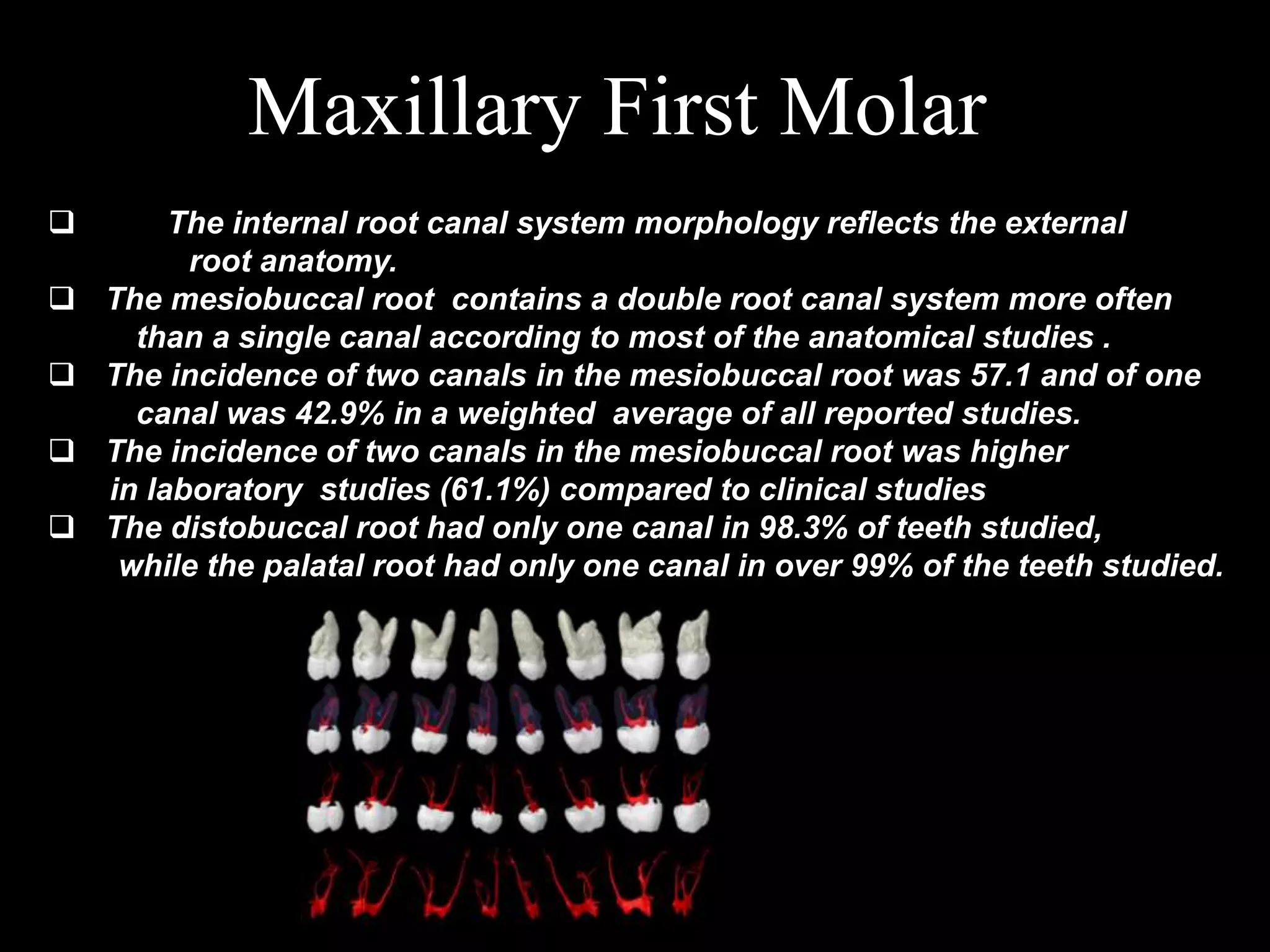 Root canals morphology and configurations - maxillary teeth | PPTX