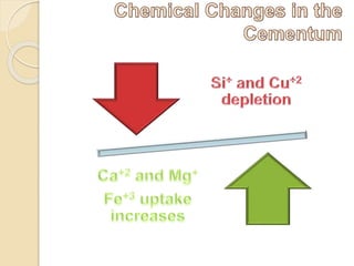 Root conditioning in periodontics | PPTX