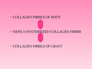 Root conditioning agents | PPT