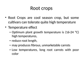 Comprehensive Guide to Cultivation and Management of Root Crops: Carrot ...