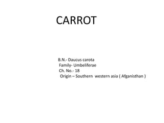 Production technology of root crops (Redish, Carrot) | PPTX