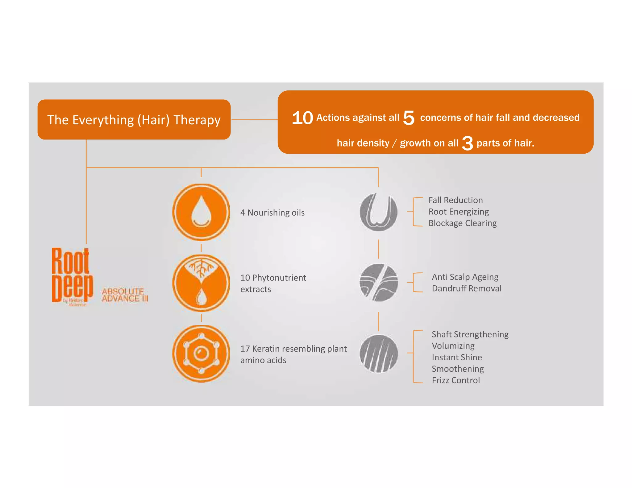 Root deep absolute advance iii - clinical backbone | PPT