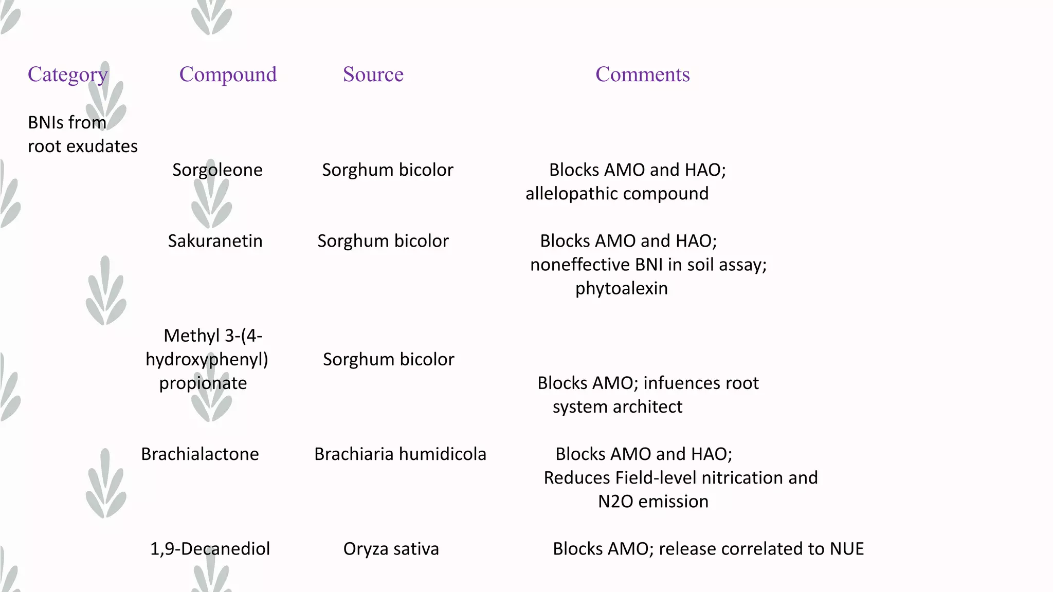 Root excudates and their role in nutrition | PPTX