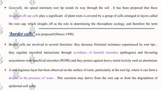 Root excudates and their role in nutrition | PPT