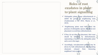 Root excudates and their role in nutrition | PPTX