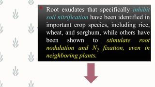 Root excudates and their role in nutrition | PPTX