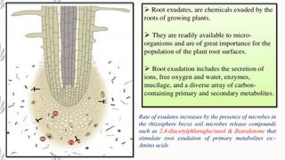 Root excudates and their role in nutrition | PPTX