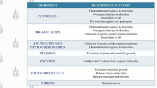 Root excudates and their role in nutrition | PPTX