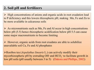Root Exudates :Functions in plant-microbe interaction | PPTX