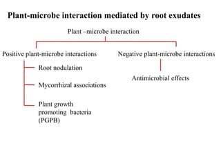 Root Exudates :Functions in plant-microbe interaction | PPTX