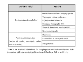 Root Exudates :Functions in plant-microbe interaction | PPTX
