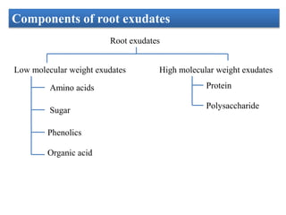 Root Exudates :Functions in plant-microbe interaction | PPTX