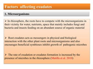 Root Exudates :Functions in plant-microbe interaction | PPTX