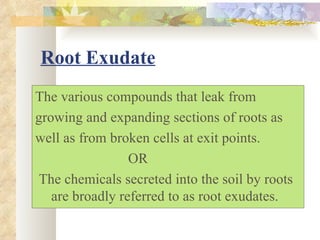 Root exudtes | PPT