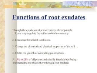 Root exudtes | PPT