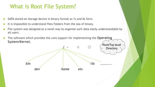 Root file system for embedded systems | PDF