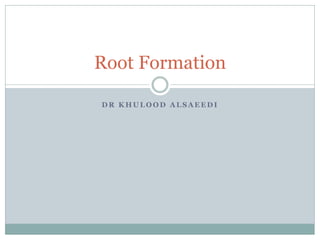 root formation in single and multi rooted teeth oral histology lap | PDF