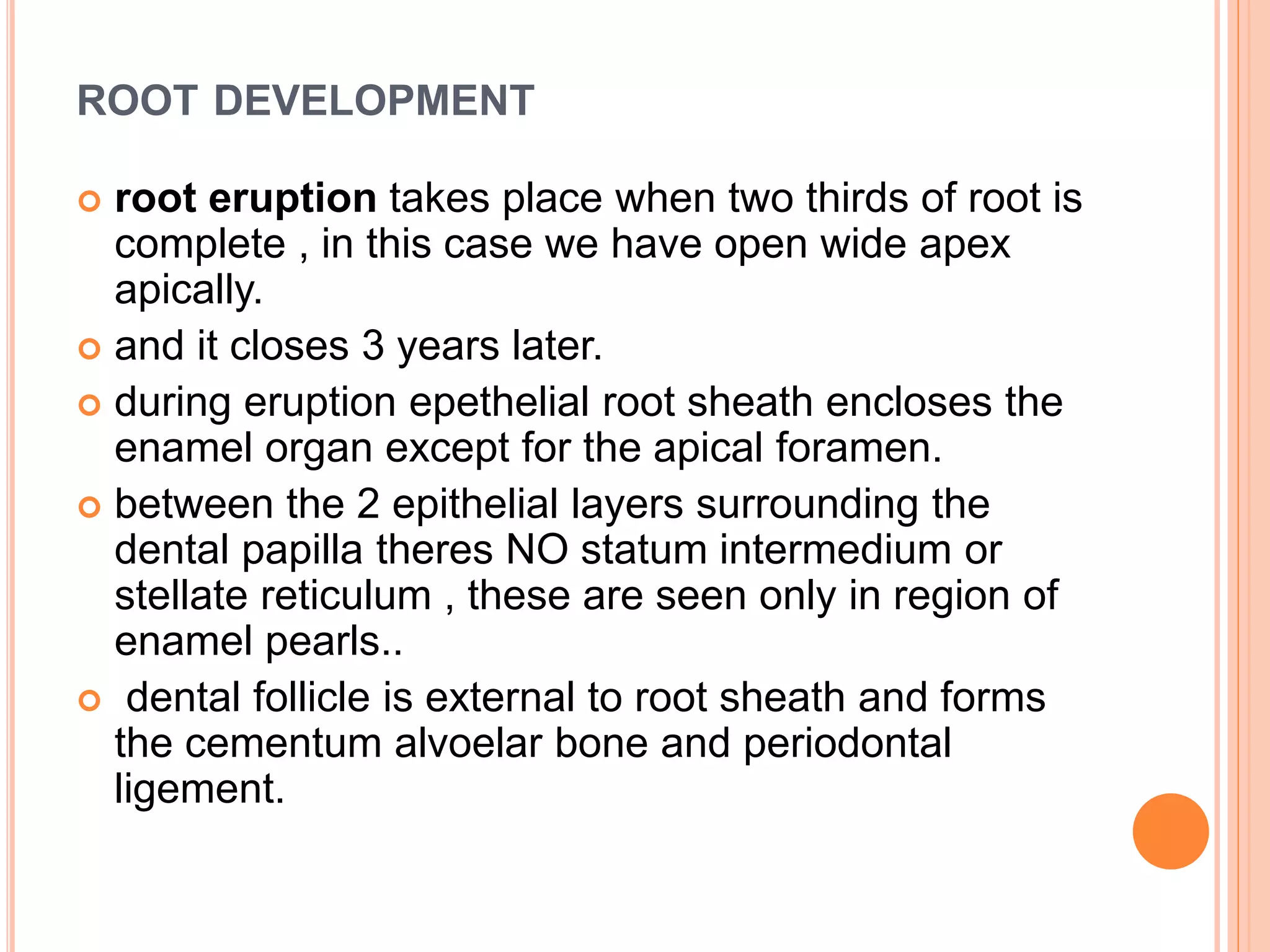 Root formation and periodontal ligament | PPTX