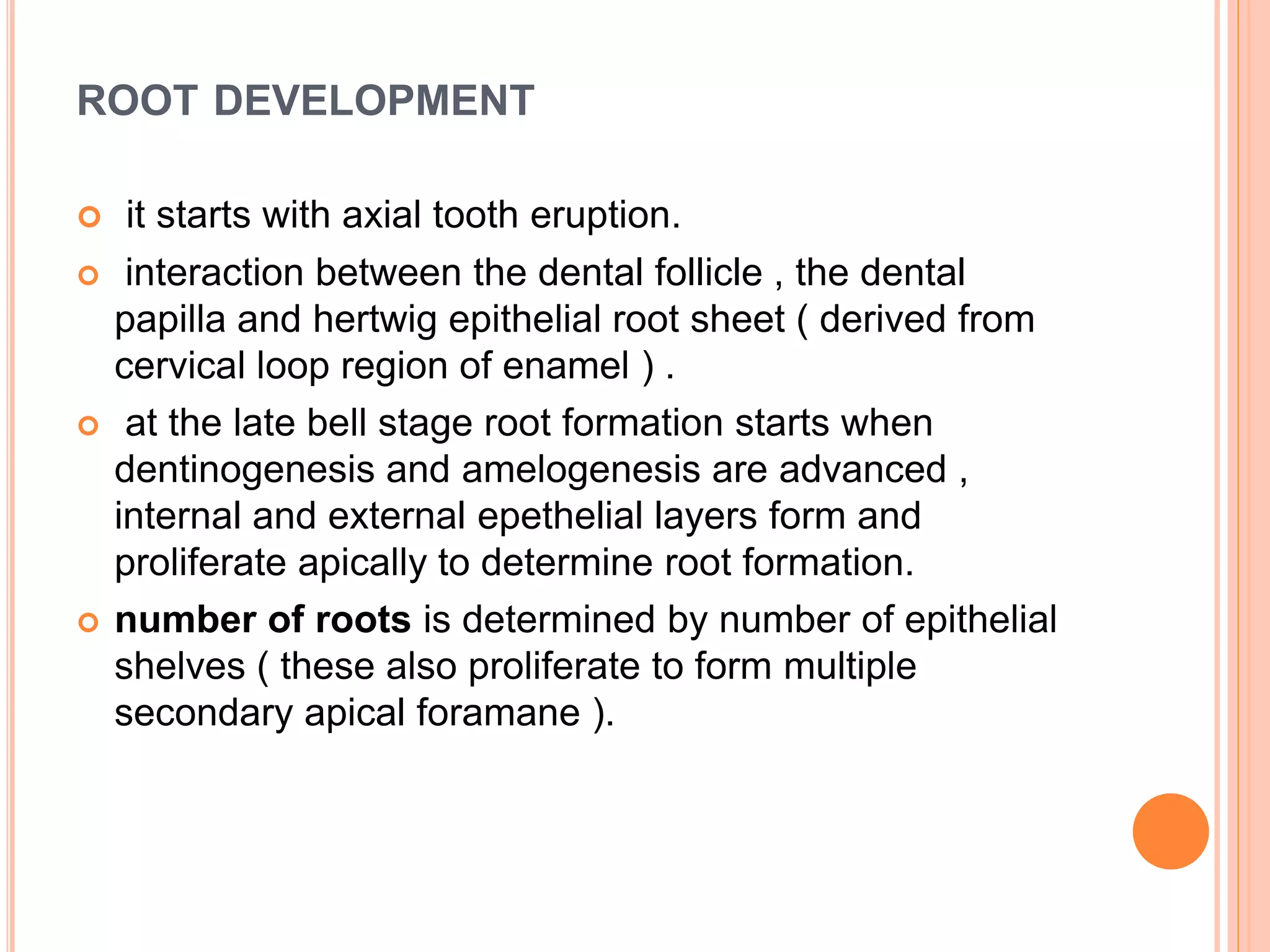 development of root, Root formation and periodontal ligament | PPTX