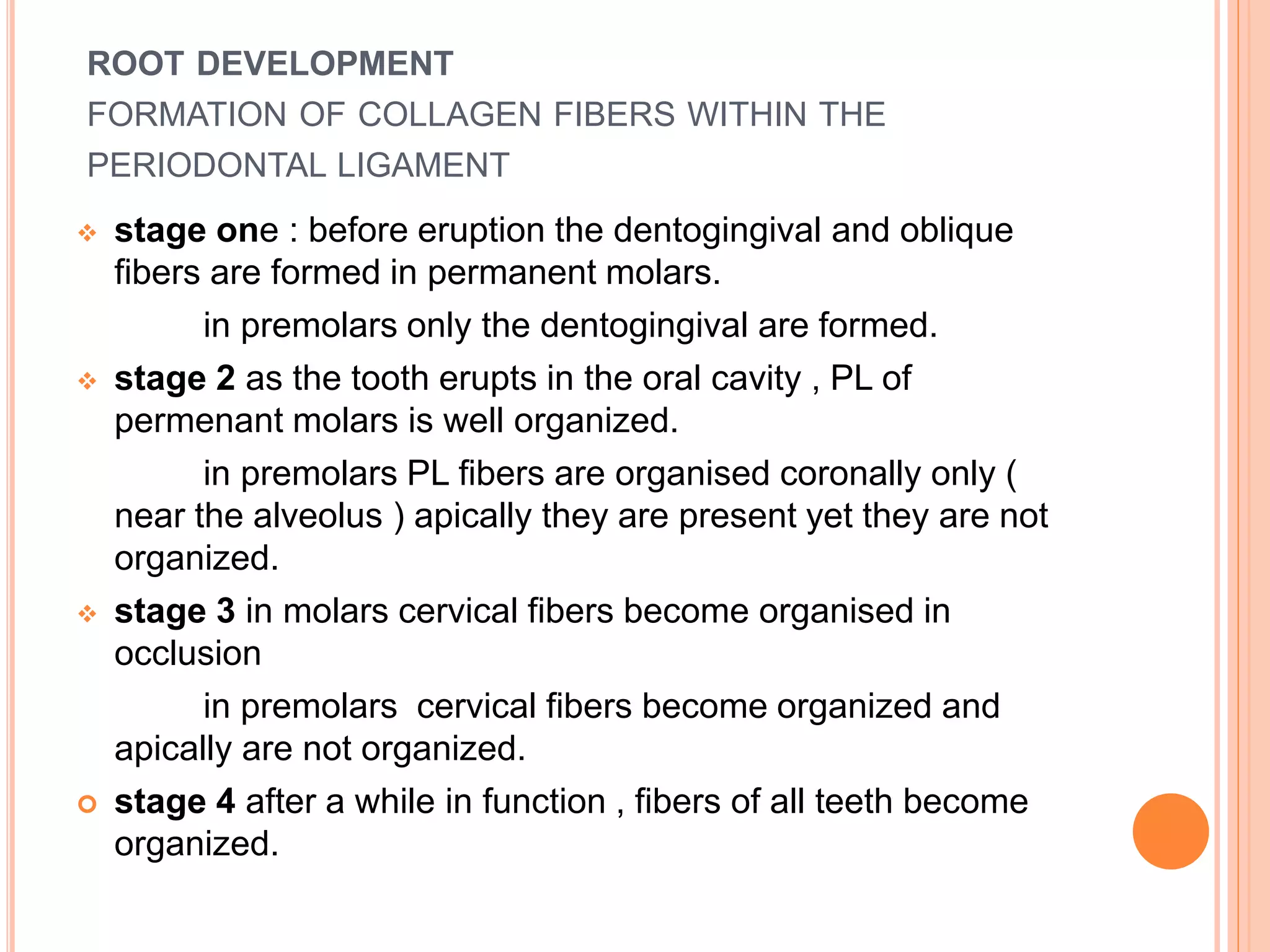 development of root, Root formation and periodontal ligament | PPTX