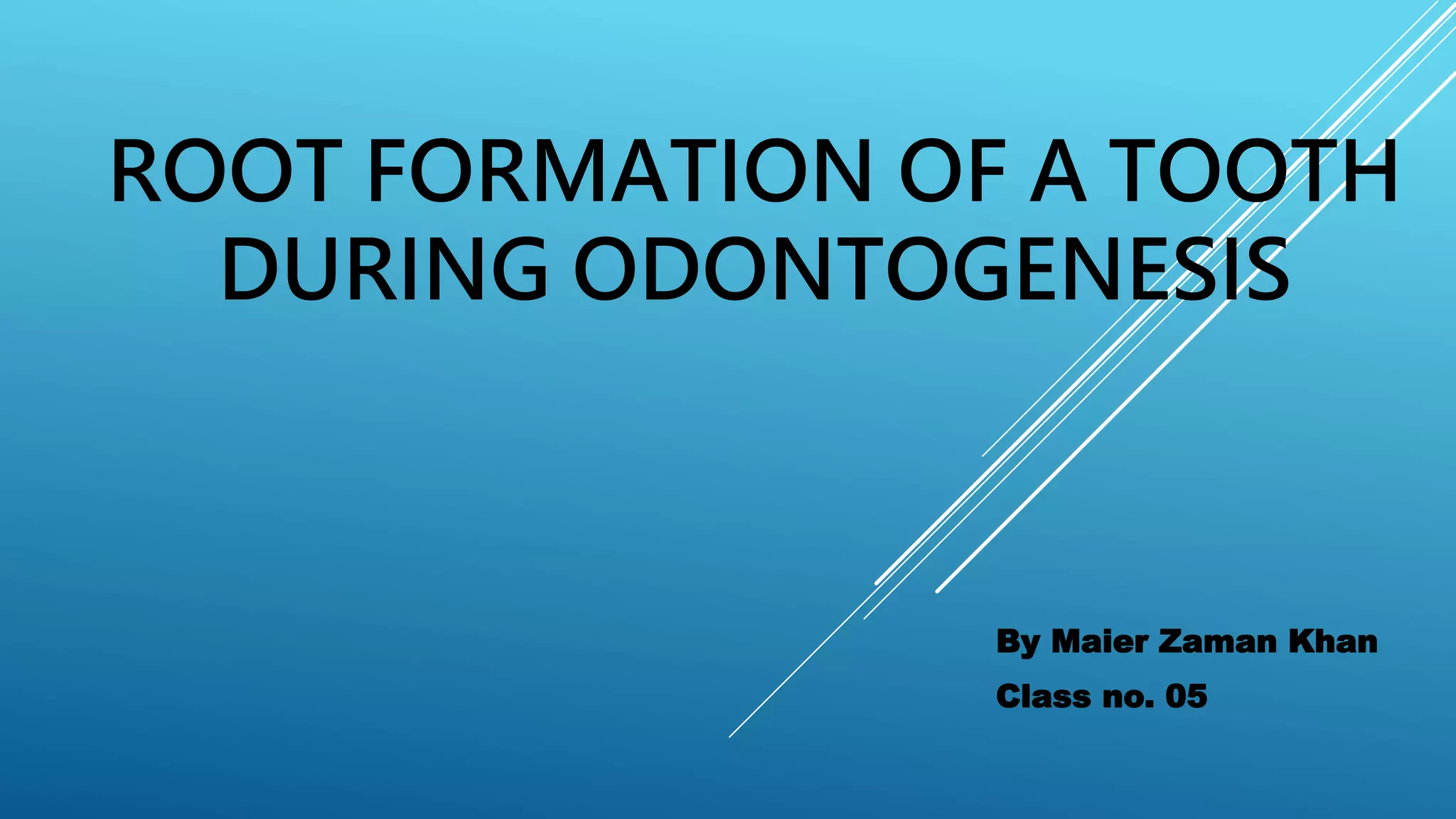ROOT FORMATION OF A TOOTH DURING ODONTOGENESIS (1).pptx