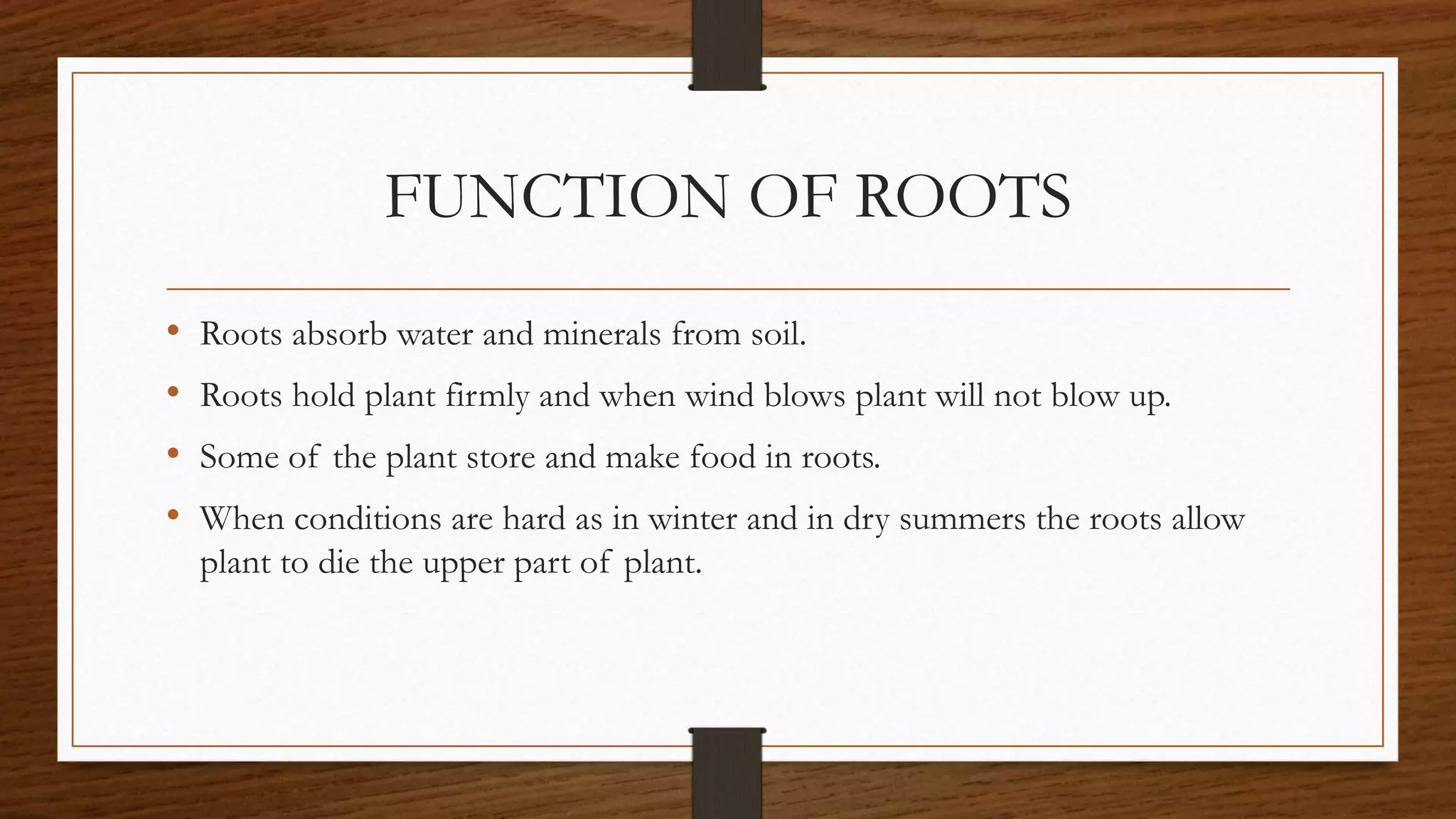 Root hair cells science-botony | PPTX