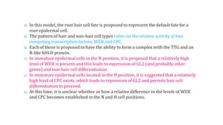 ROOT HAIR DEVELOPMENT IN PLANTS | PPTX