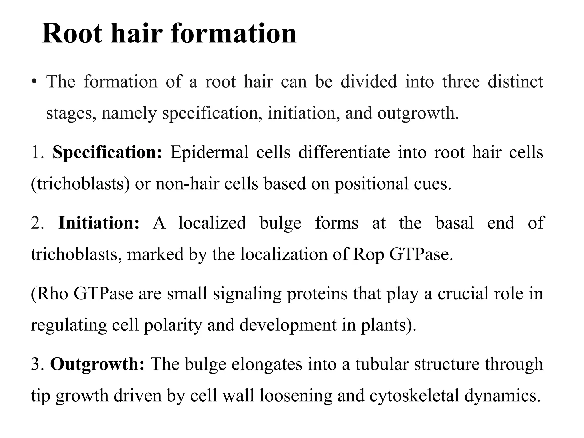 Root hair formation (specification, initiation and outgrowth).pptx