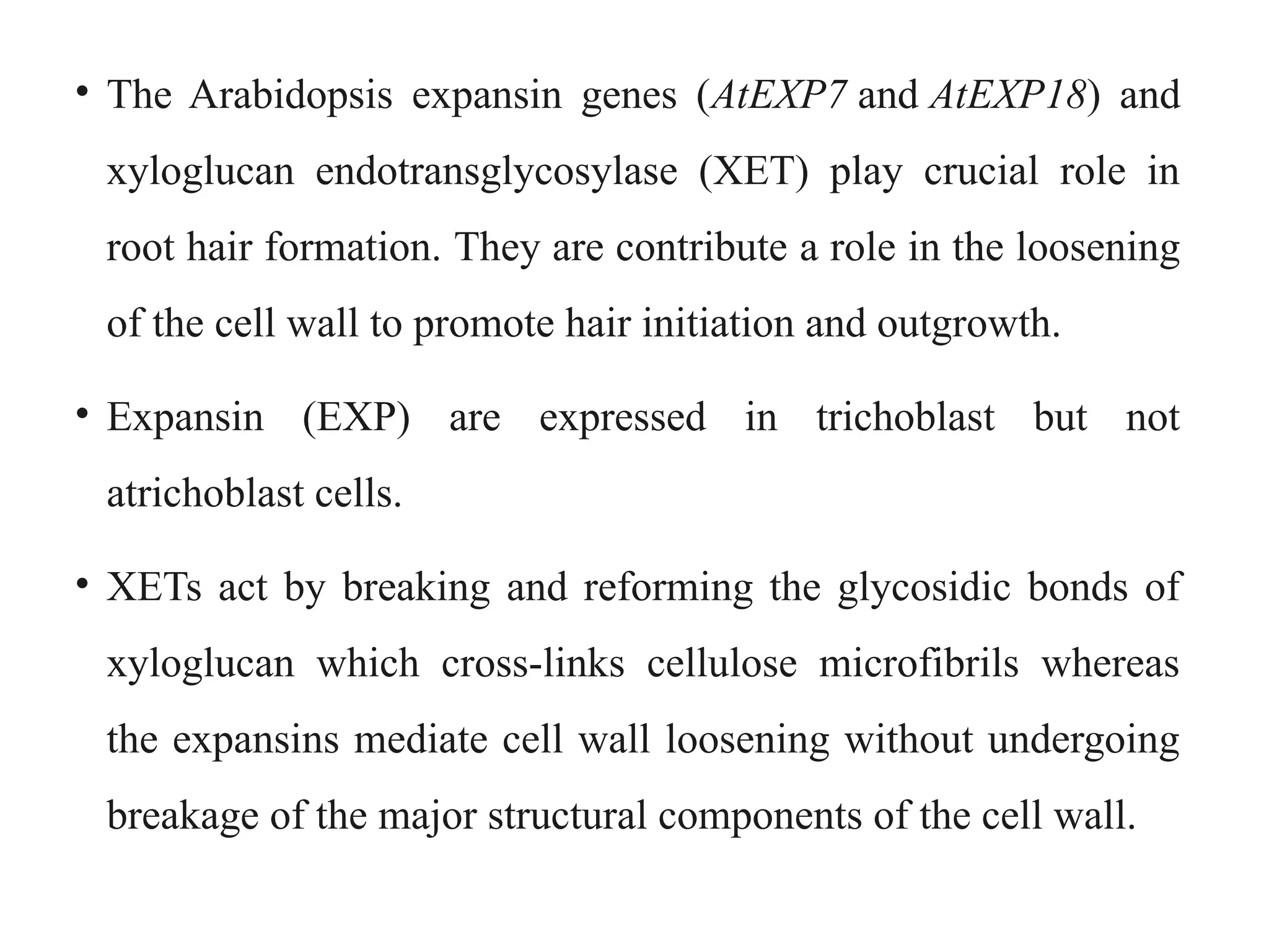 Root hair formation (specification, initiation and outgrowth).pptx