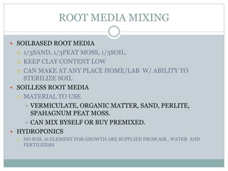 Rooting media in greenhouse | PPTX