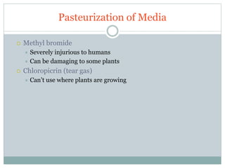 Rooting media in greenhouse | PPTX
