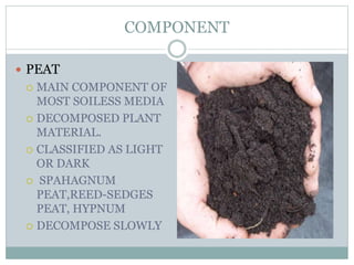 Rooting media in greenhouse | PPTX