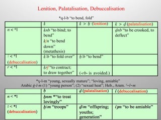 A Lexicon of Egyptian Lexical Roots (Project) | PDF