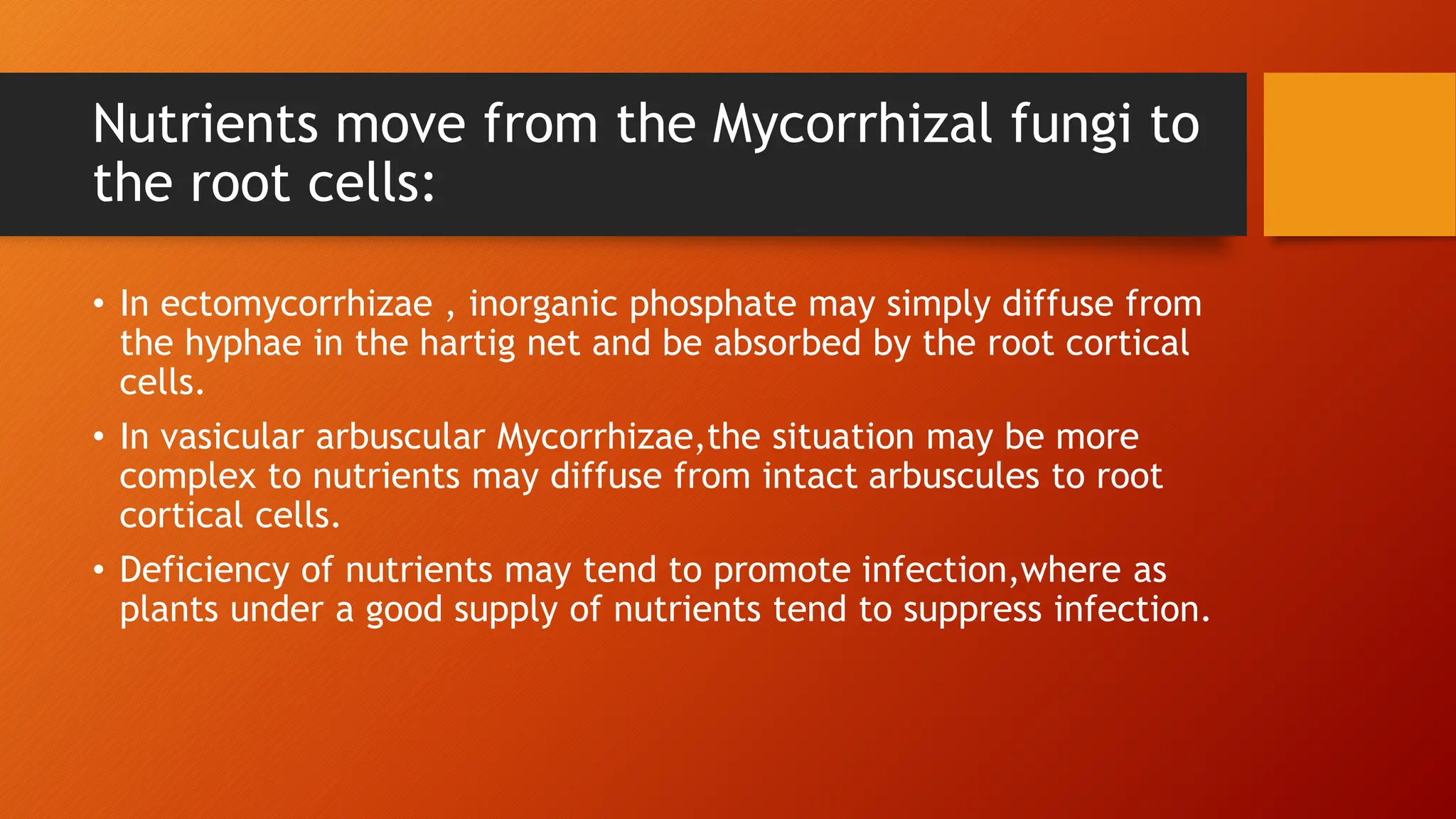 Root microbe interactions,types of Mycorrhizae | PPTX