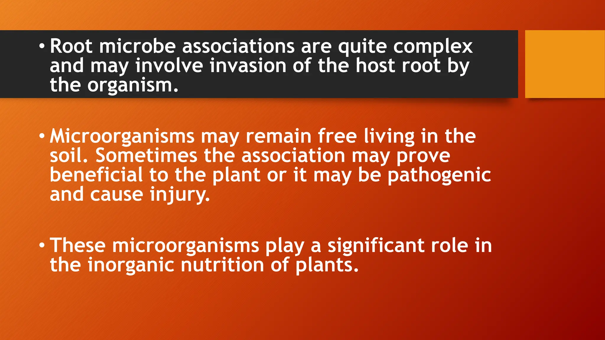 Root microbe interactions,types of Mycorrhizae | PPTX