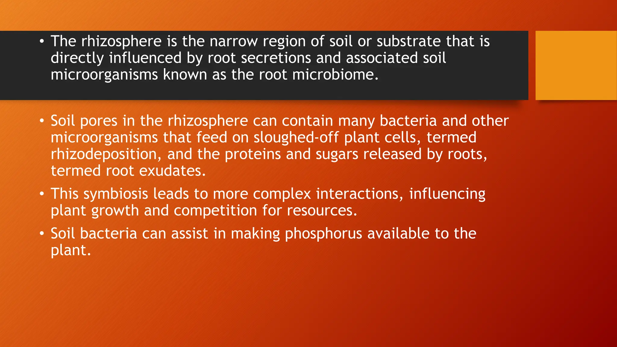 Root microbe interactions,types of Mycorrhizae | PPTX