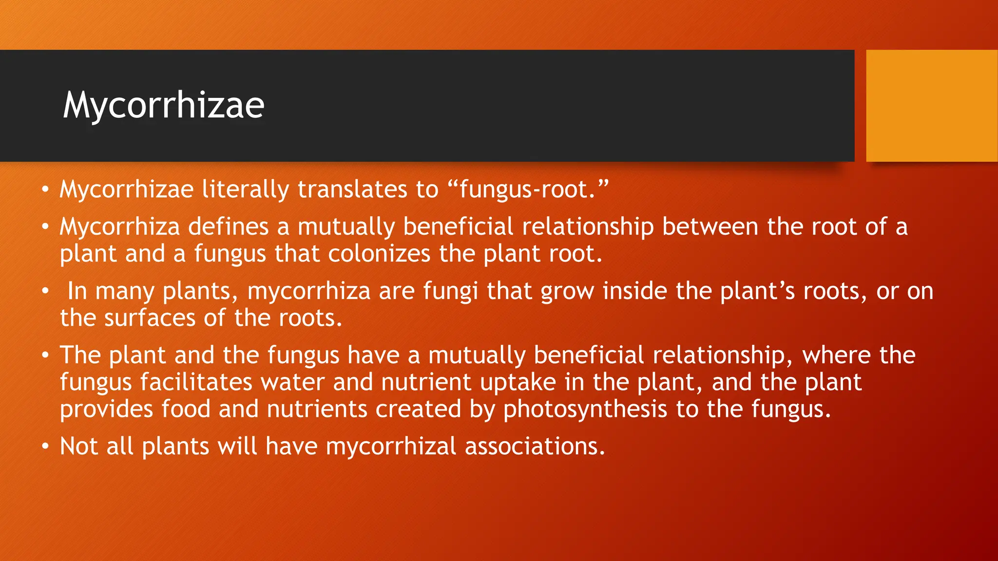 Root microbe interactions,types of Mycorrhizae | PPTX