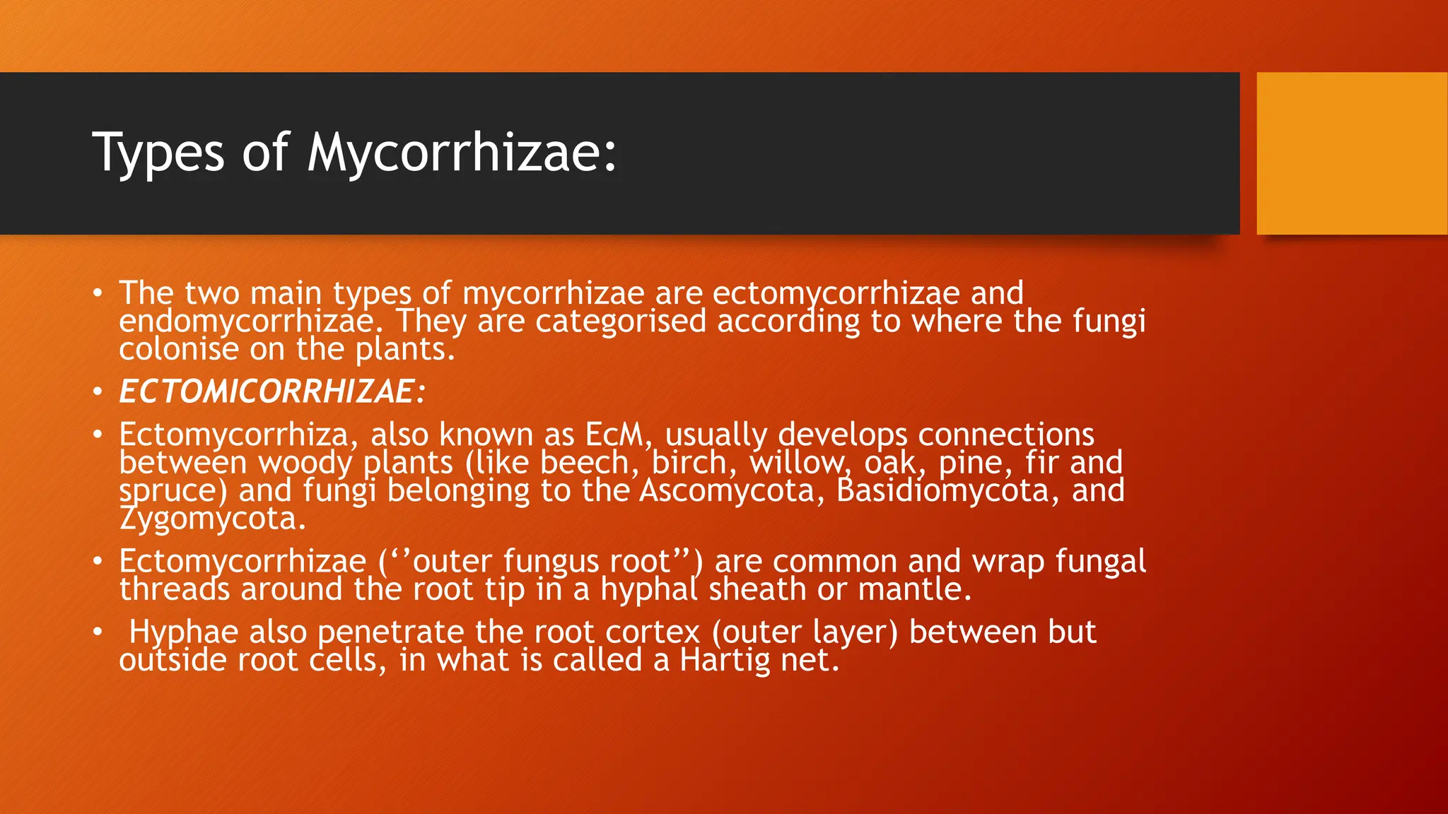 Root microbe interactions,types of Mycorrhizae | PPTX