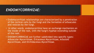 Root microbe interactions,types of Mycorrhizae | PPTX