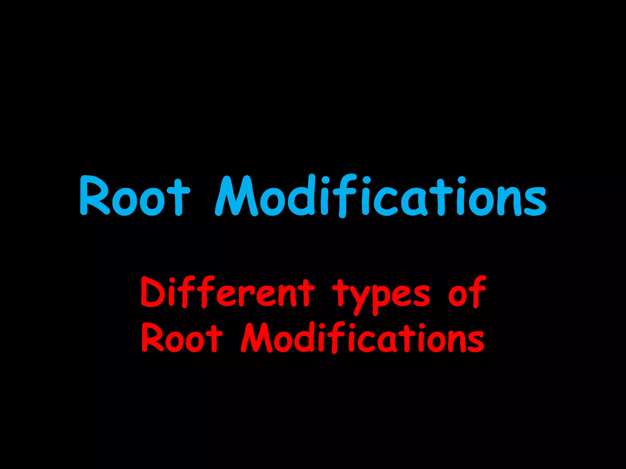 Root modification | PPTX