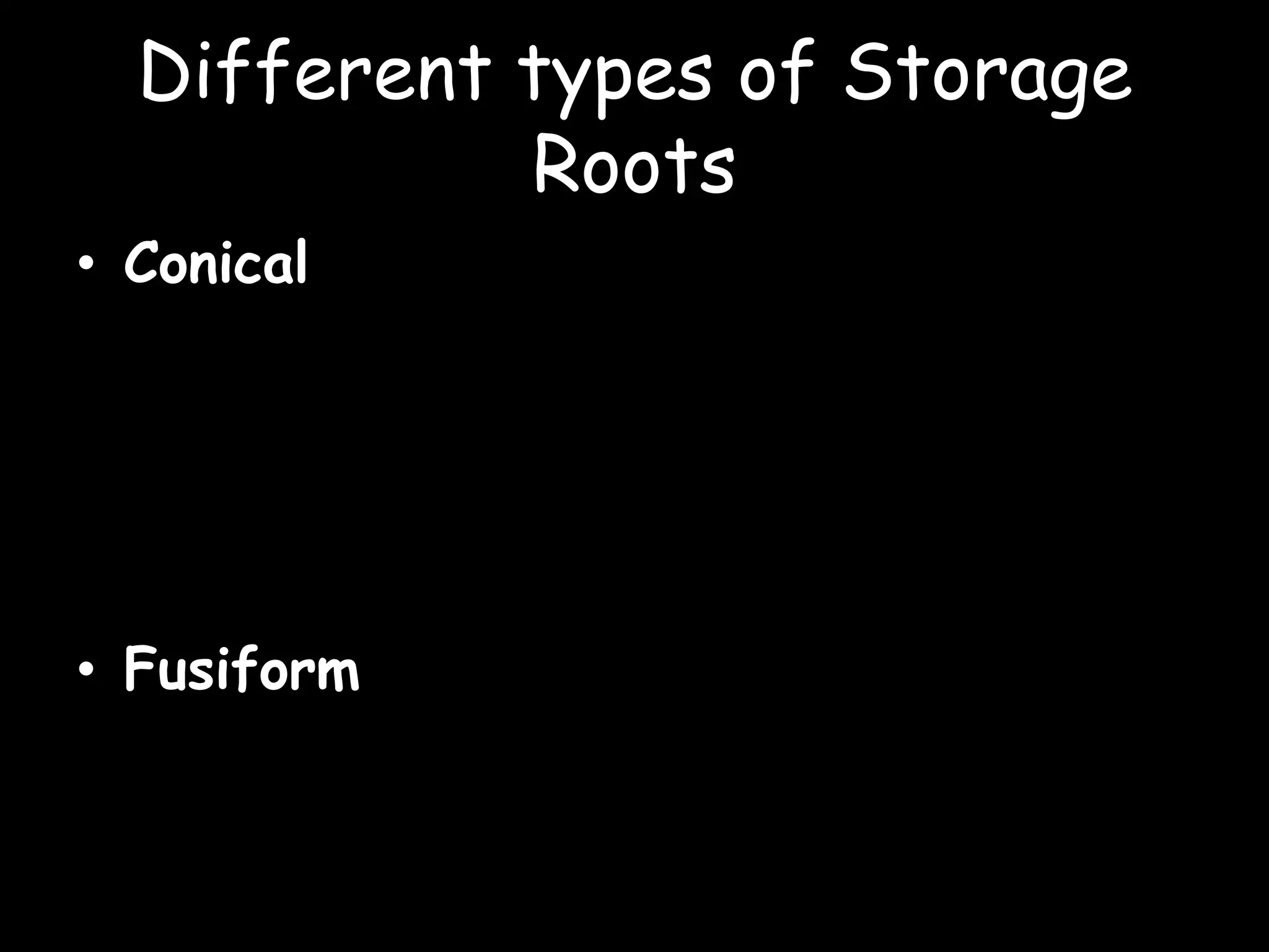 Root modification | PPTX