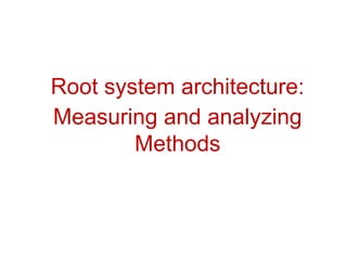 Root phenotyping | PPT