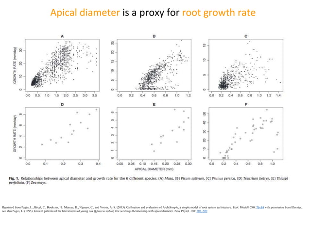 Root phenotyping | PPTX | Gardening | Home & Garden