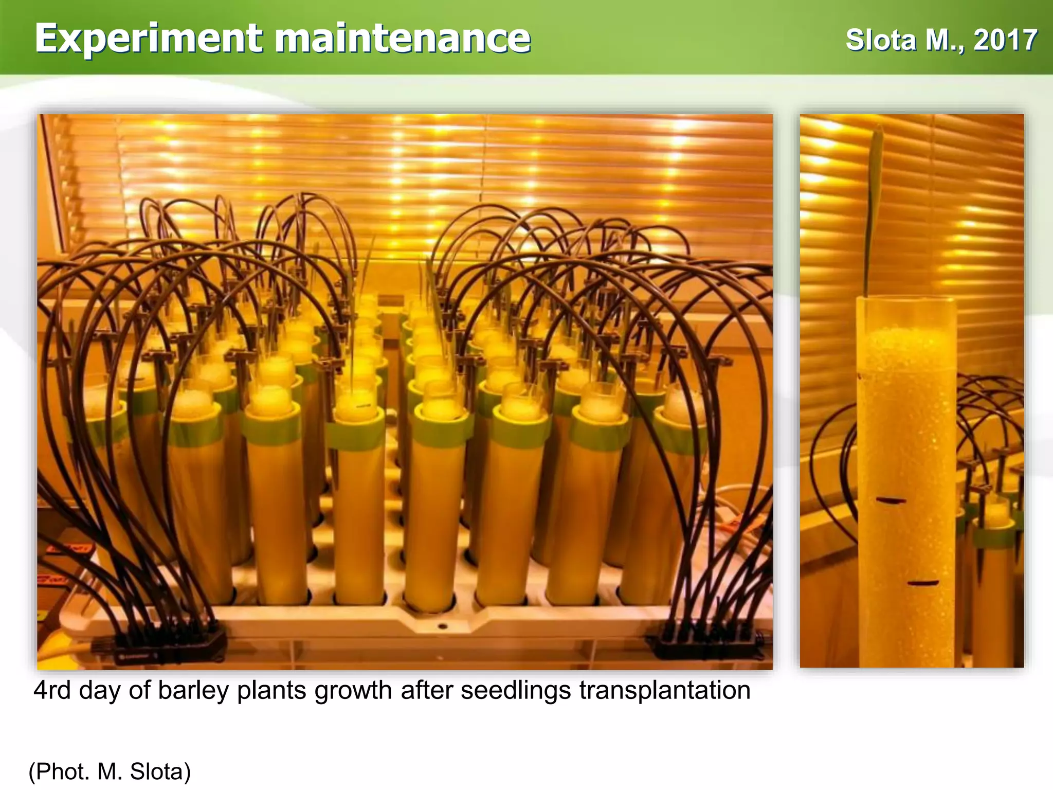 Root phenotyping system | PDF