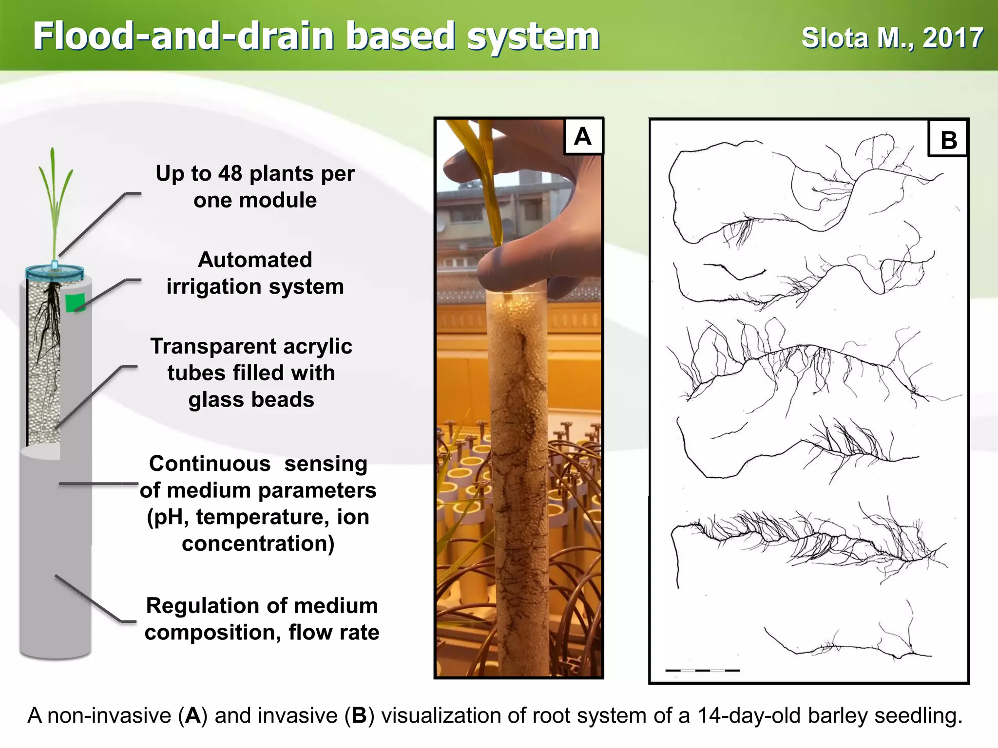Root phenotyping system | PDF