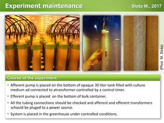 Root phenotyping system | PDF