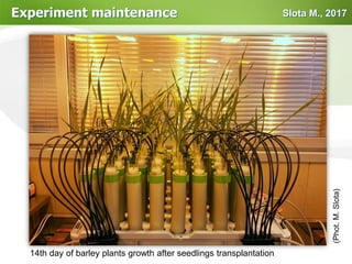 Root phenotyping system | PDF